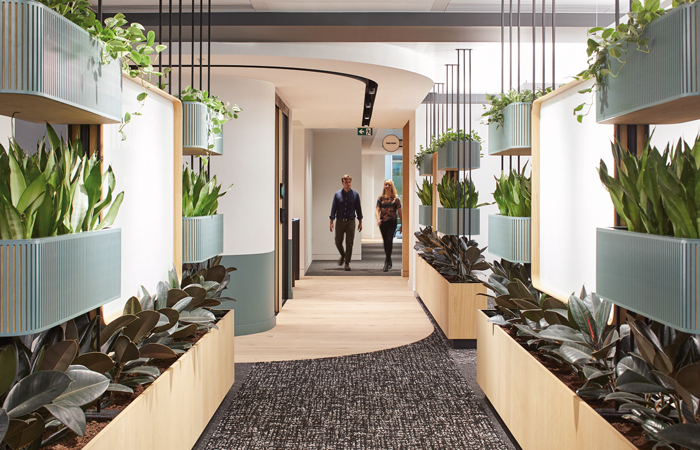 Sustainability Leaders: Alison Grant, Senior Designer at HLW | Design ...